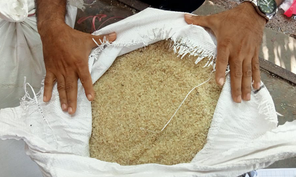 সরকারি খাদ্য গুদাম থেকে পচা চাল বিতরণের অভিযোগ