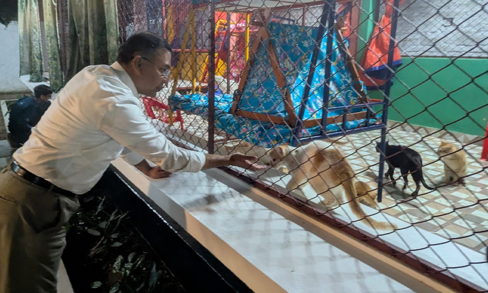 হাদিকে গুলি : প্রধান সন্দেহভাজন মাসুদের স্ত্রী–শ্যালকসহ আটক ৩